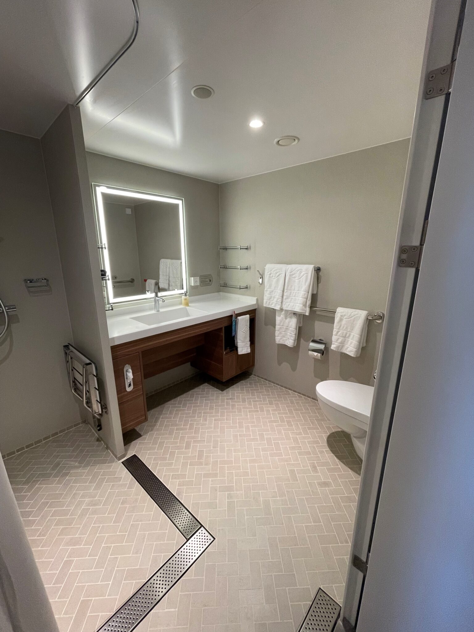 Navigating the Disney Wish in a wheelchair