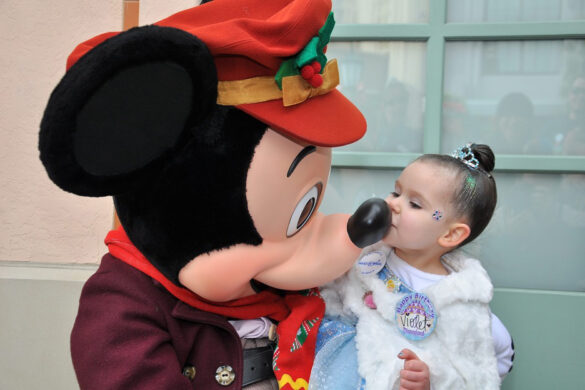 The story behind the planting of Mickey's Forest - Disney's largest ...