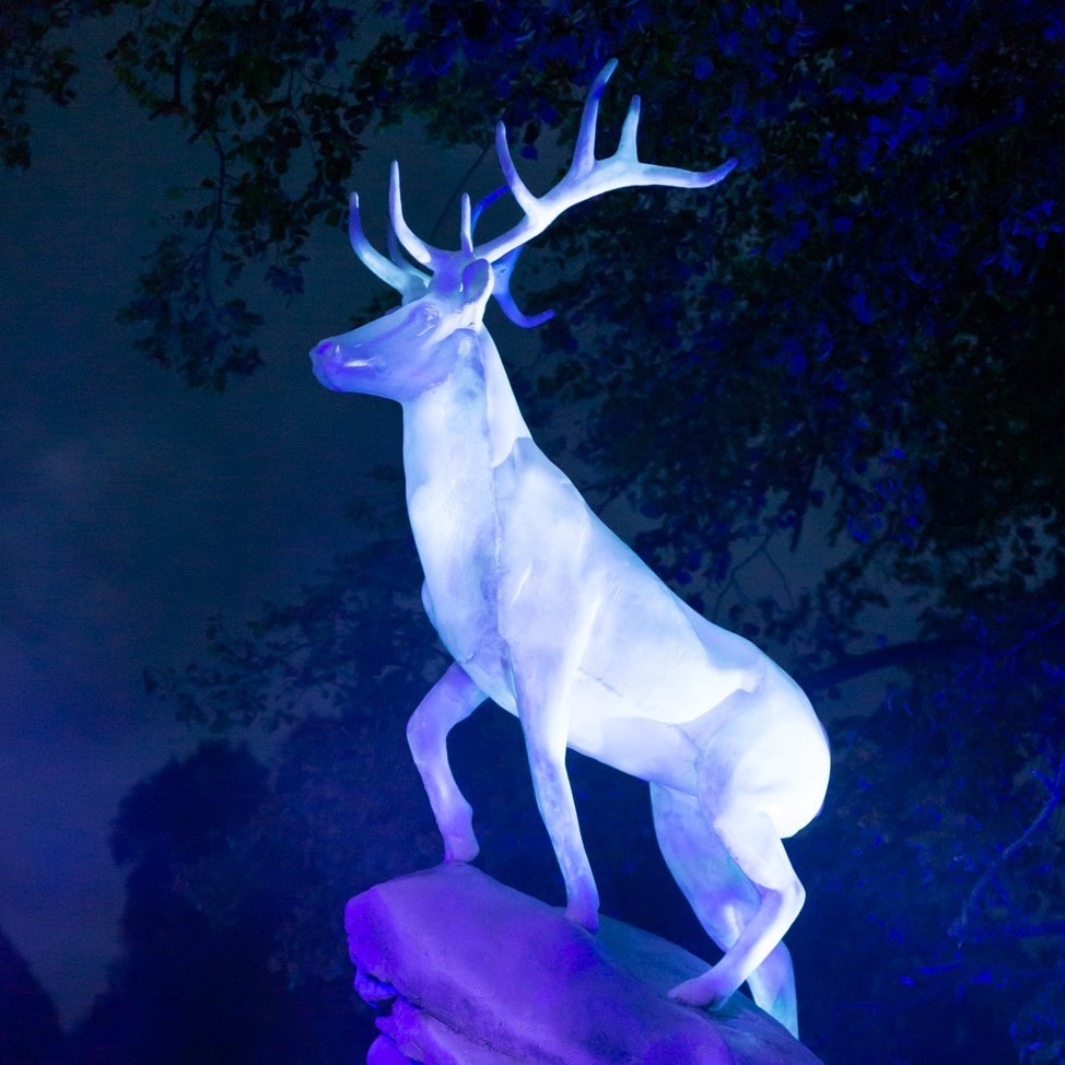 UPDATED: Harry Potter: A Forbidden Forest Experience U.S. debut