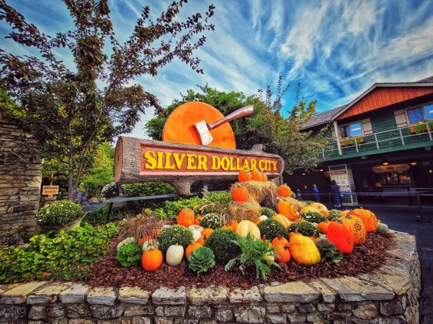 Thousands of pumpkins roll into Silver Dollar City for Harvest Fest