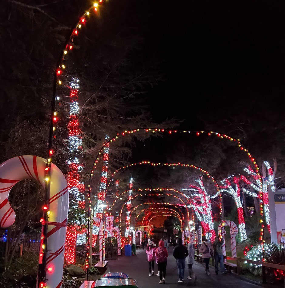 New events announced for Six Flags Discovery Kingdom
