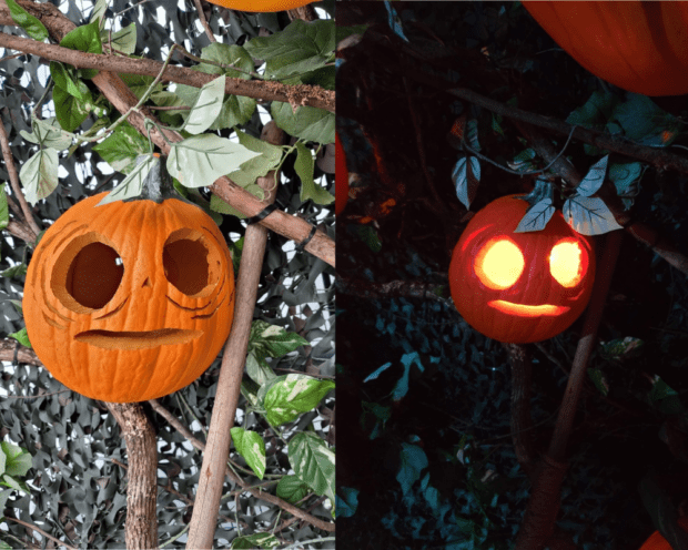 Lil' Boo: Who is Halloween Horror Night's most famous pumpkin?