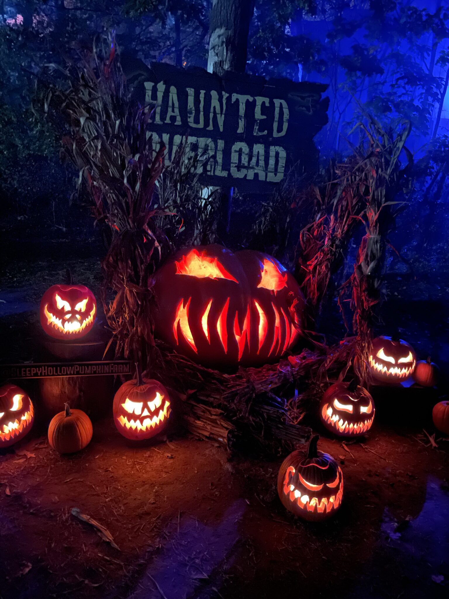 Haunted Overload is an unforgettable Halloween experience