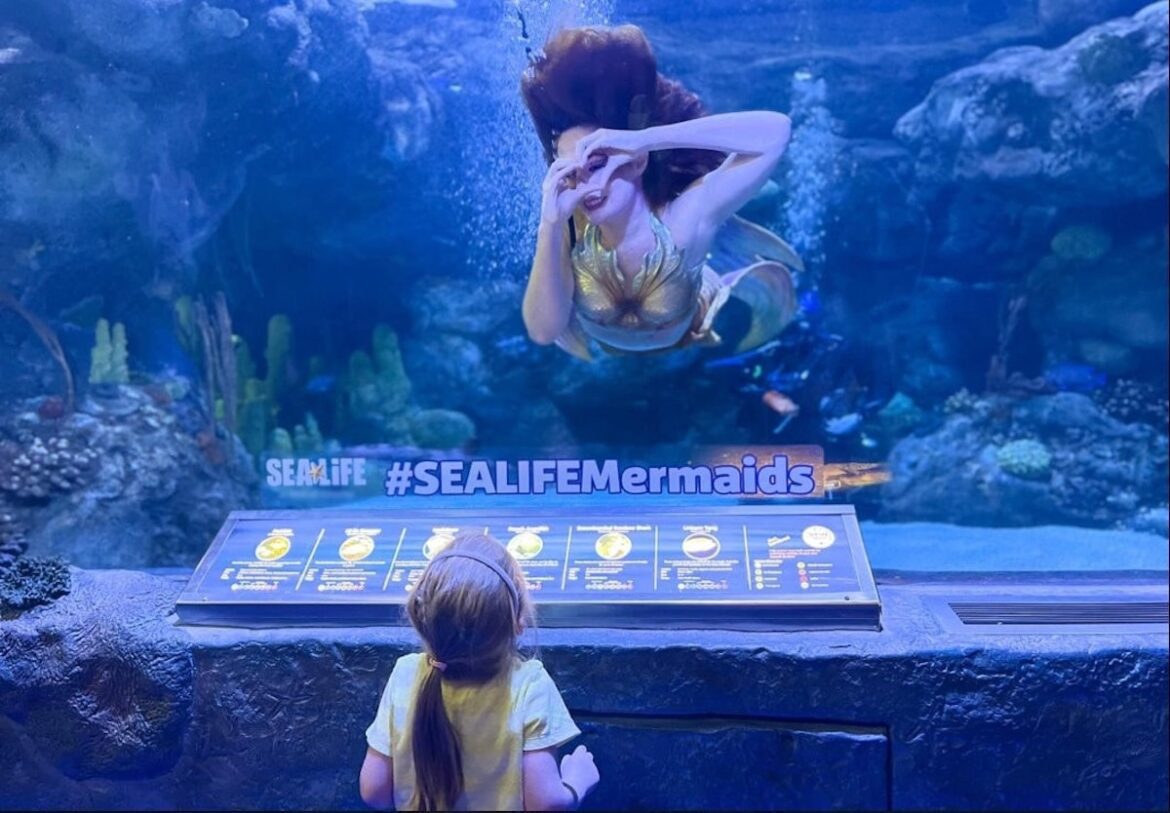 Sea Life Orlando mermaids are back