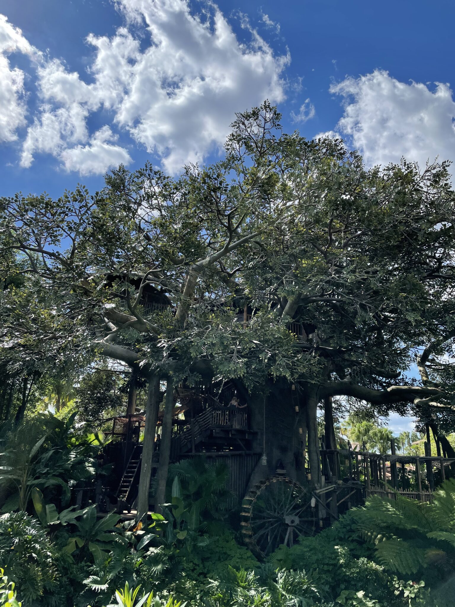 Delight and surprise over Disneyland’s Adventureland Treehouse