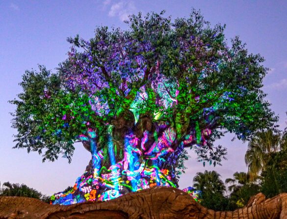 New 'Avatar: The Way of Water' show at Disney's Animal Kingdom