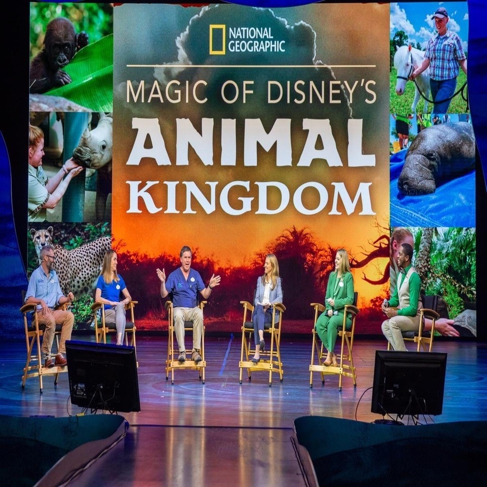 Q&A: Dr. Pye from 'The Magic of Disney's Animal Kingdom'