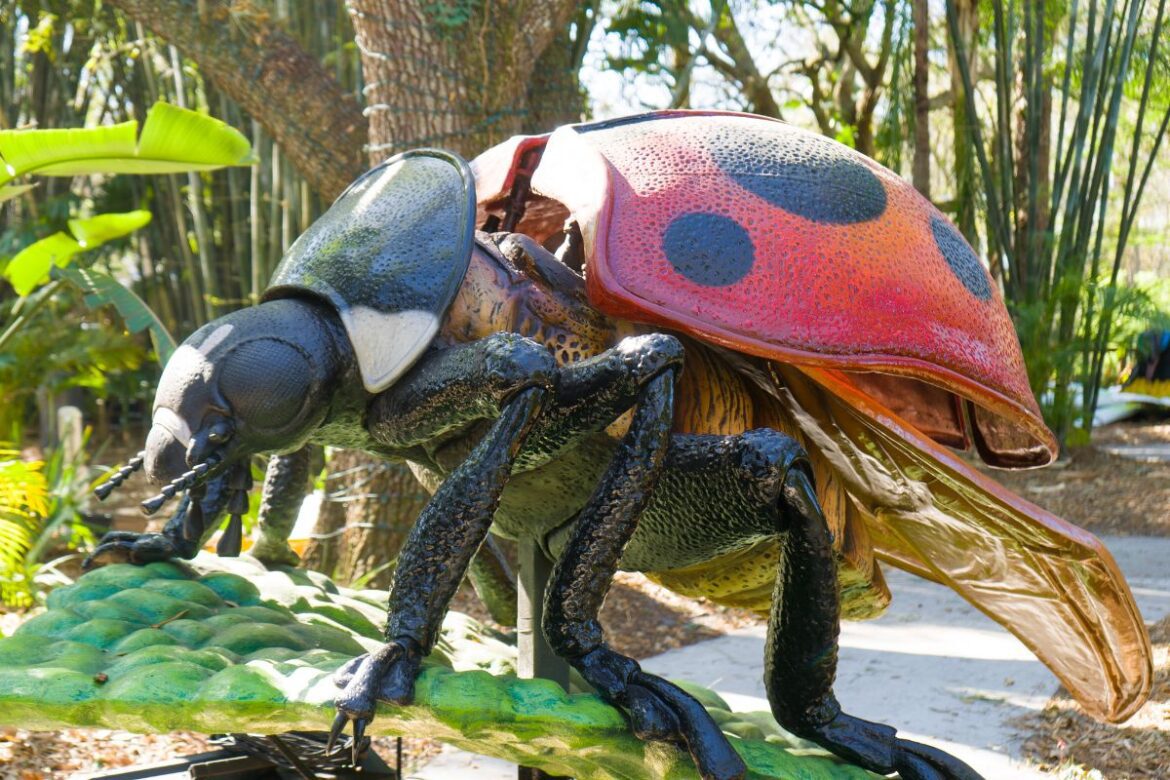 Giant insects will take over ZooTampa during Bugtopia event
