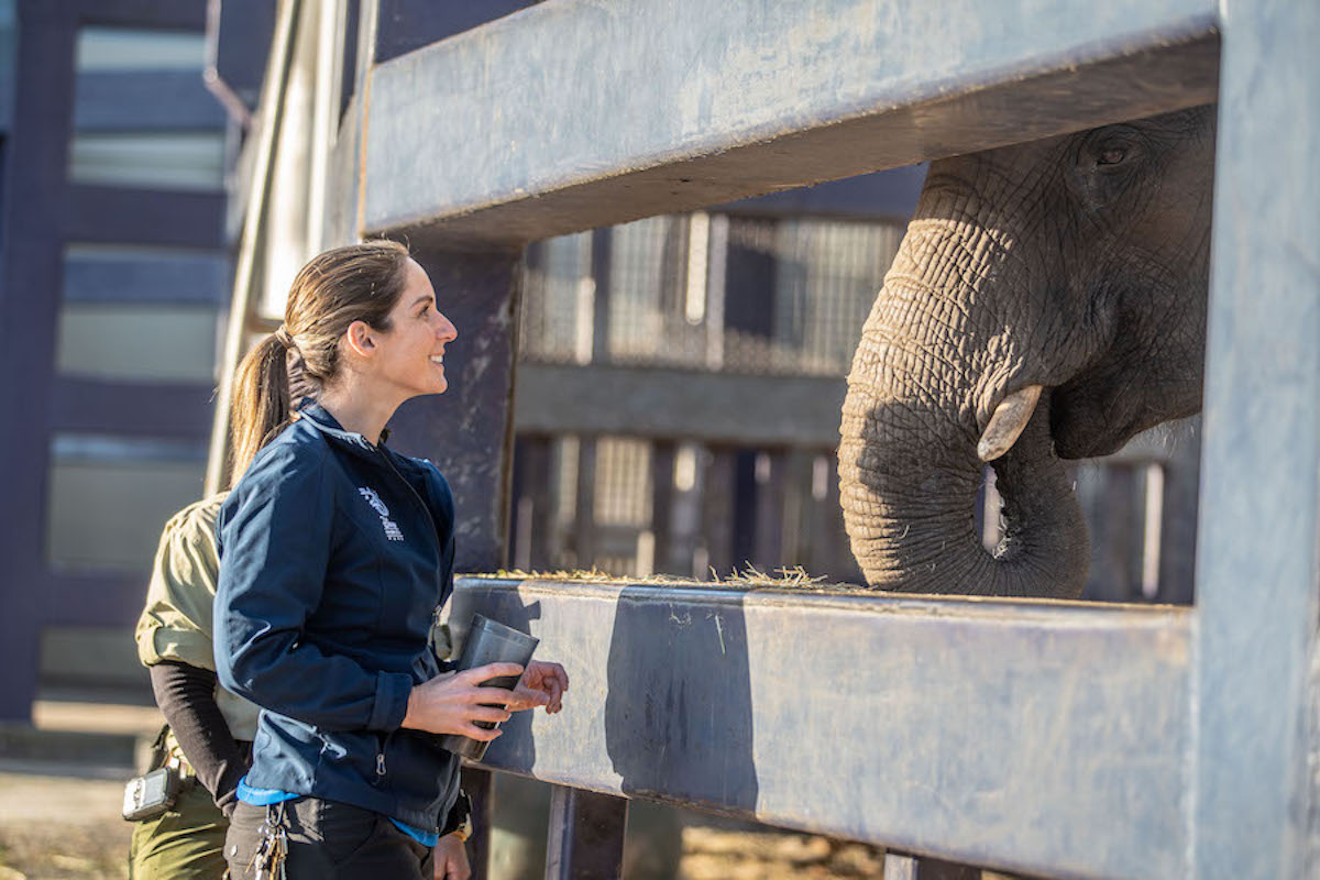 Disney’s female veterinarians take the lead