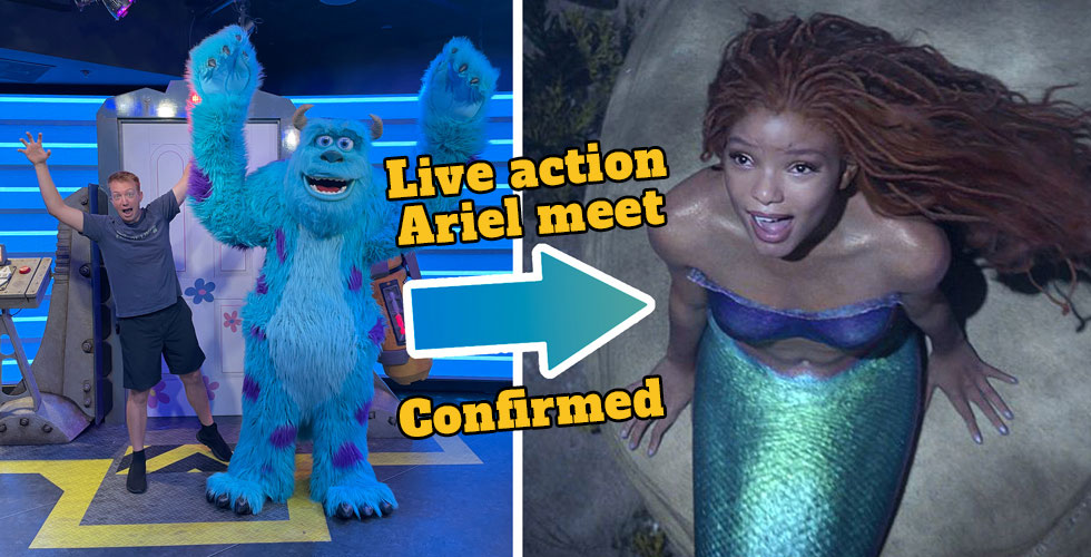 Live Action Ariel meet and greet coming to Walt Disney World