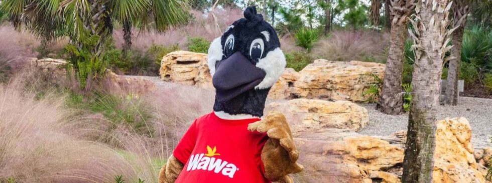 Visit Bok Tower Gardens for free during Wawa Summer Fun Days