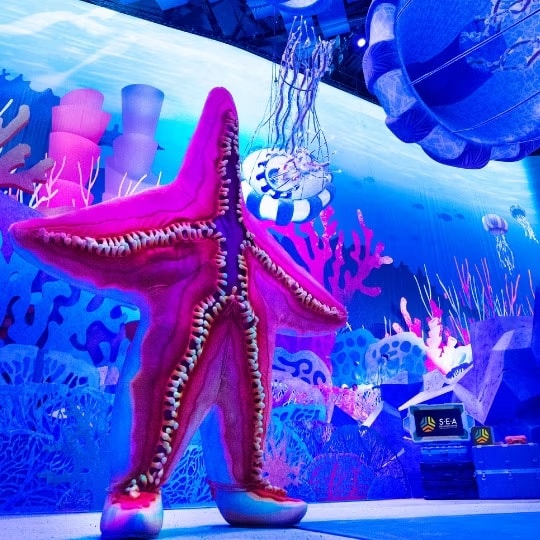 SeaWorld Abu Dhabi celebrates its grand opening