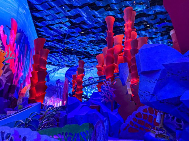 Ultimate Guide to SeaWorld Abu Dhabi - UAE Times - Gulf News, breaking ...