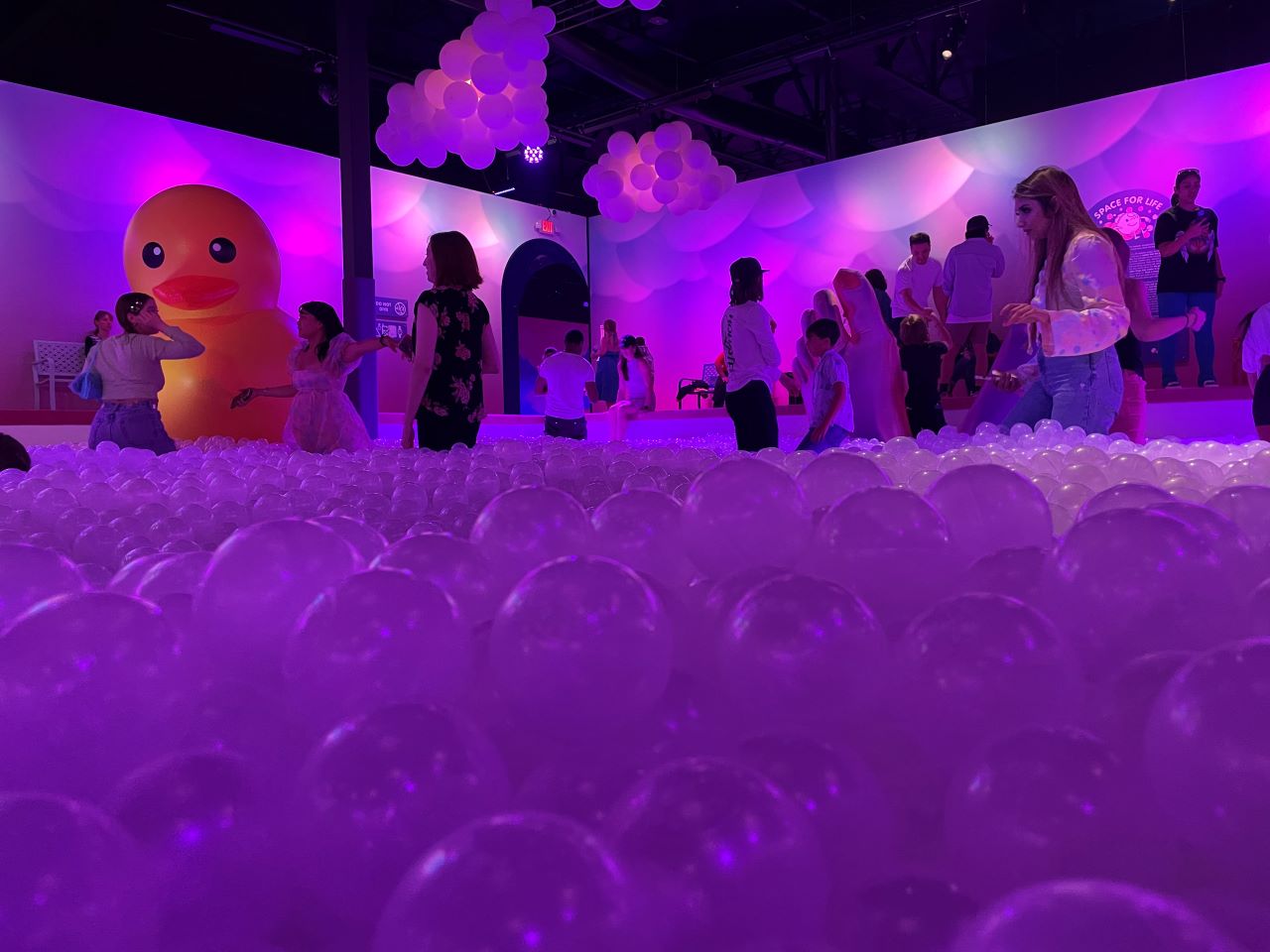 Bubble World Experience will 'blow' guests minds