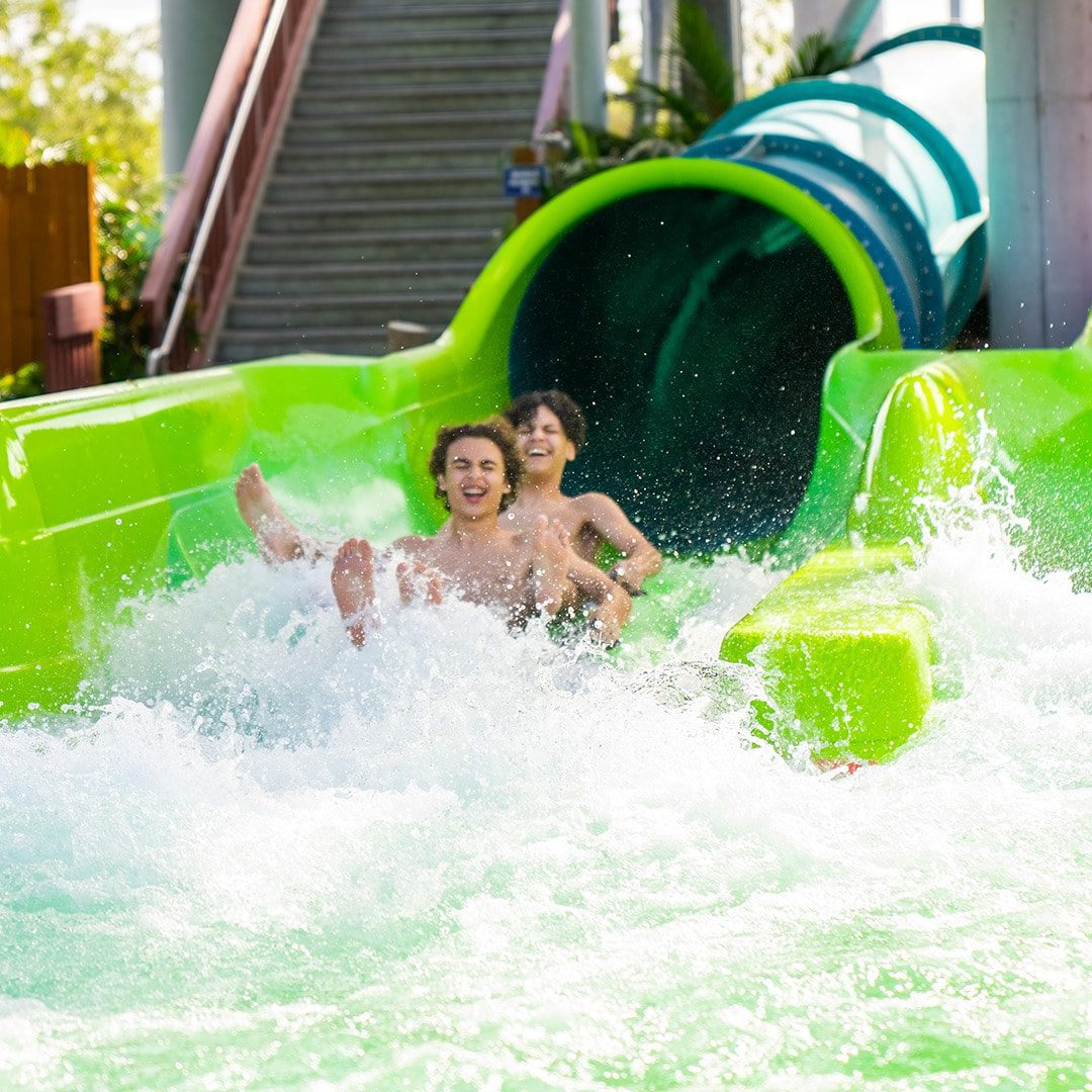 Aquatica Beach Nights offers holiday movies under the stars