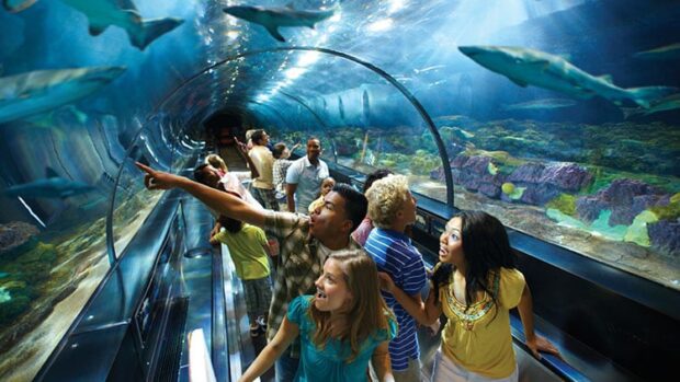 SeaWorld Orlando's future: 'more indoor attractions,' onsite hotel