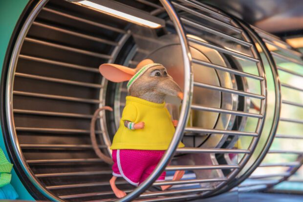 Zootopia now open, take a look inside the new land