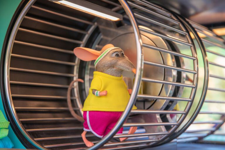 Zootopia now open, take a look inside the new land