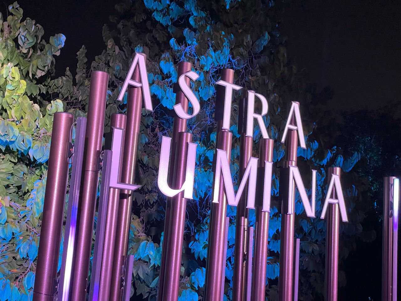 Nighttime light show ‘Astra Lumina’ creates a magical atmosphere