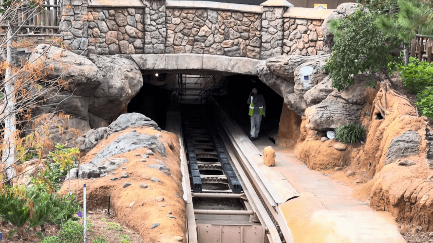 Photos: A year of construction progress at Tiana's Bayou Adventure