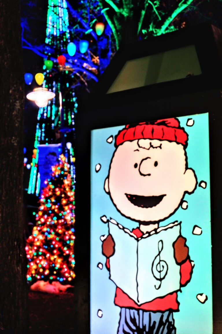 Carowinds Christmas lights event reduces nighttime hours