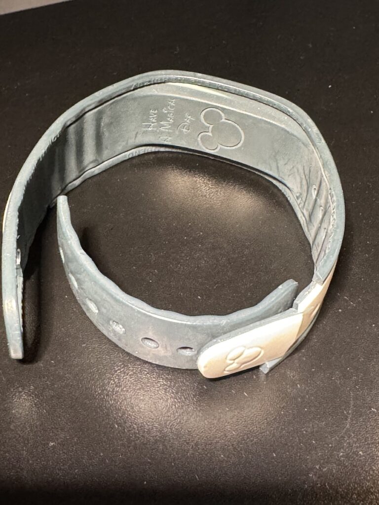 Creator of Disney's MagicBand evolves vision for Princess Cruises