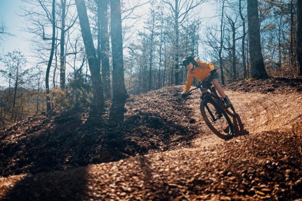 WildSide adventure park opens summer 2024 in Pigeon Forge