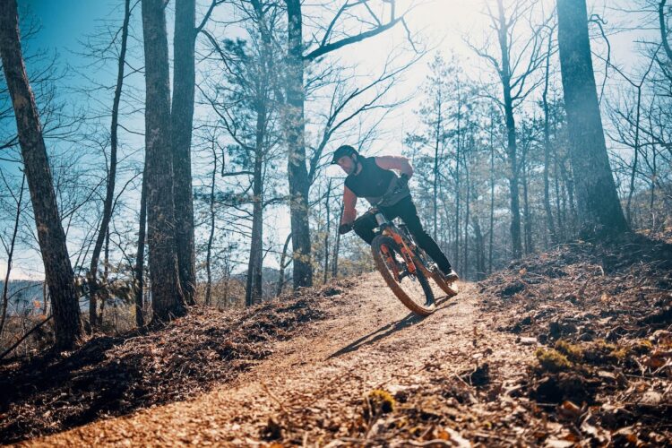 WildSide adventure park opens summer 2024 in Pigeon Forge