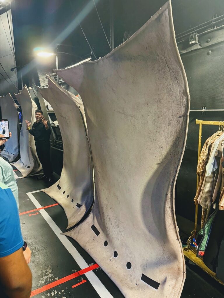 Inside Cirque du Soleil's new backstage tour at Disney World