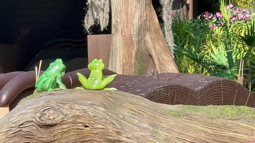 Tiana's Bayou Adventure scene-by-scene breakdown, photos, lore