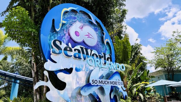 SeaWorld Orlando expansion: Parent company ready to build