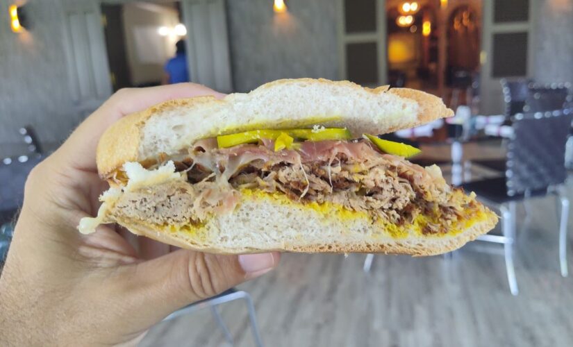 Busch Gardens Tampa Bay elevates dining with Treetop Kitchen