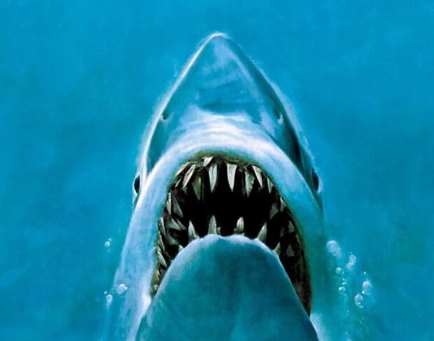 Jaws documentary from Disney will trace history of Universal film