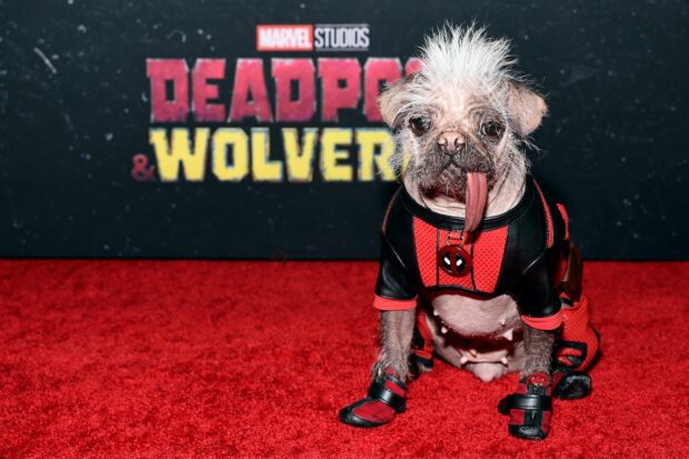 Kevin Feige: 'Deadpool & Wolverine' begins MCU's 'mutant era'