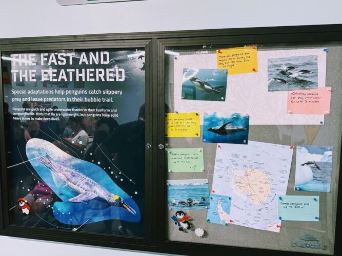 New SeaWorld Orlando ride Penguin Trek now open