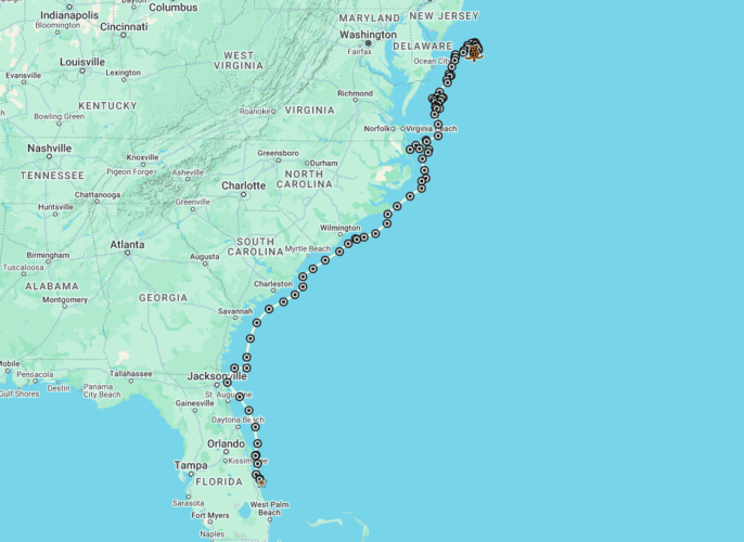 Sea turtle tracking and migration: Interview with Disney scientists