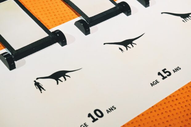 Dinosaur fossils in Charlotte for Discovery Place Science exhibit