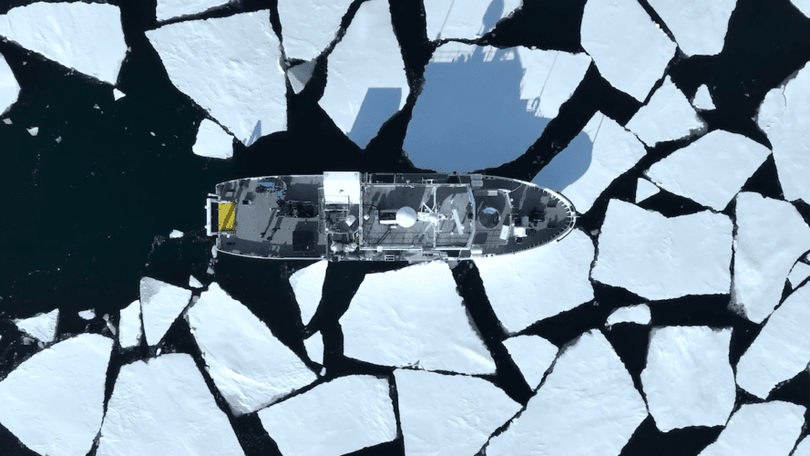 SeaWorld Orlando arctic flying ride Expedition Odyssey