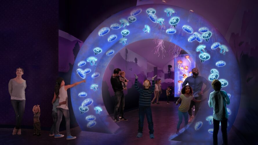 Journey to Atlantis to be 'reinvented' 2025 at SeaWorld San Diego
