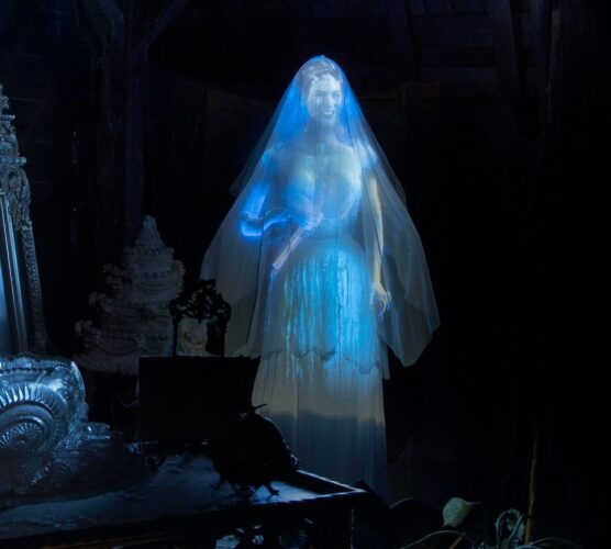 New Haunted Mansion bride, attic scene at Disneyland