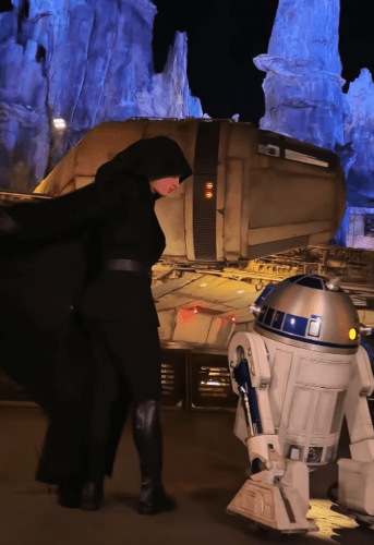 Luke Skywalker character in Star Wars: Galaxy's Edge, Disneyland