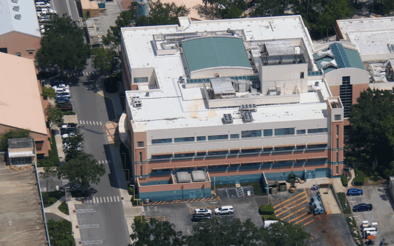 Defunct Disney animation studio | Feature Animation Florida