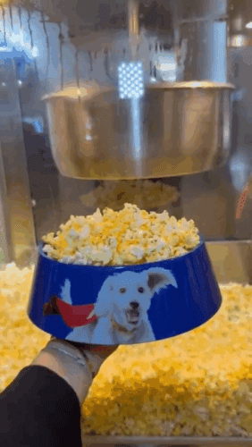 Superman popcorn buckets | AMC, Cinemark, Regal, Alamo