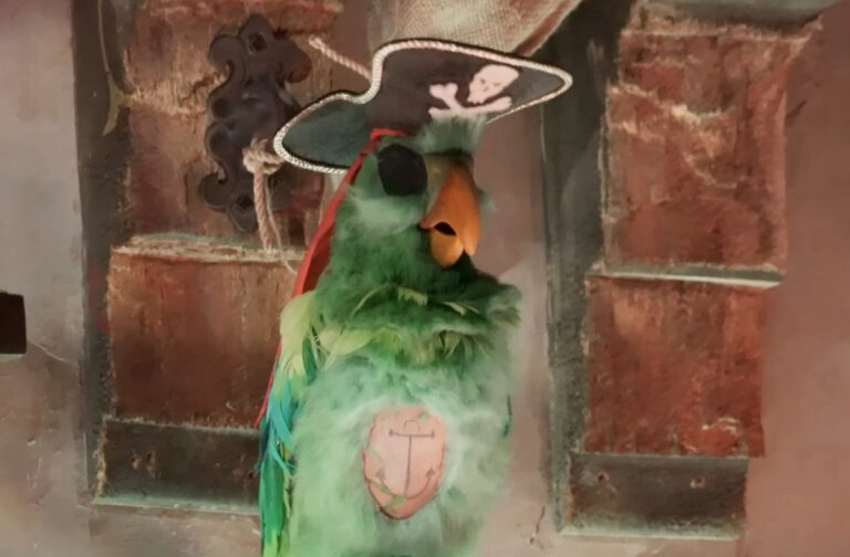 Beak & Barrel | New Pirates of the Caribbean bar, Magic Kingdom