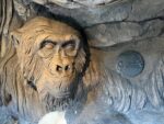 Dr. Jane Goodall, 1934-2025 | Disney's Animal Kingdom tribute