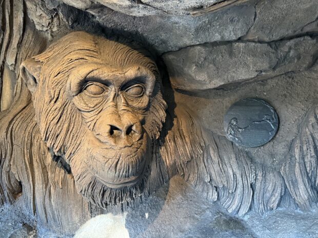 Dr. Jane Goodall, 1934-2025 | Disney's Animal Kingdom tribute