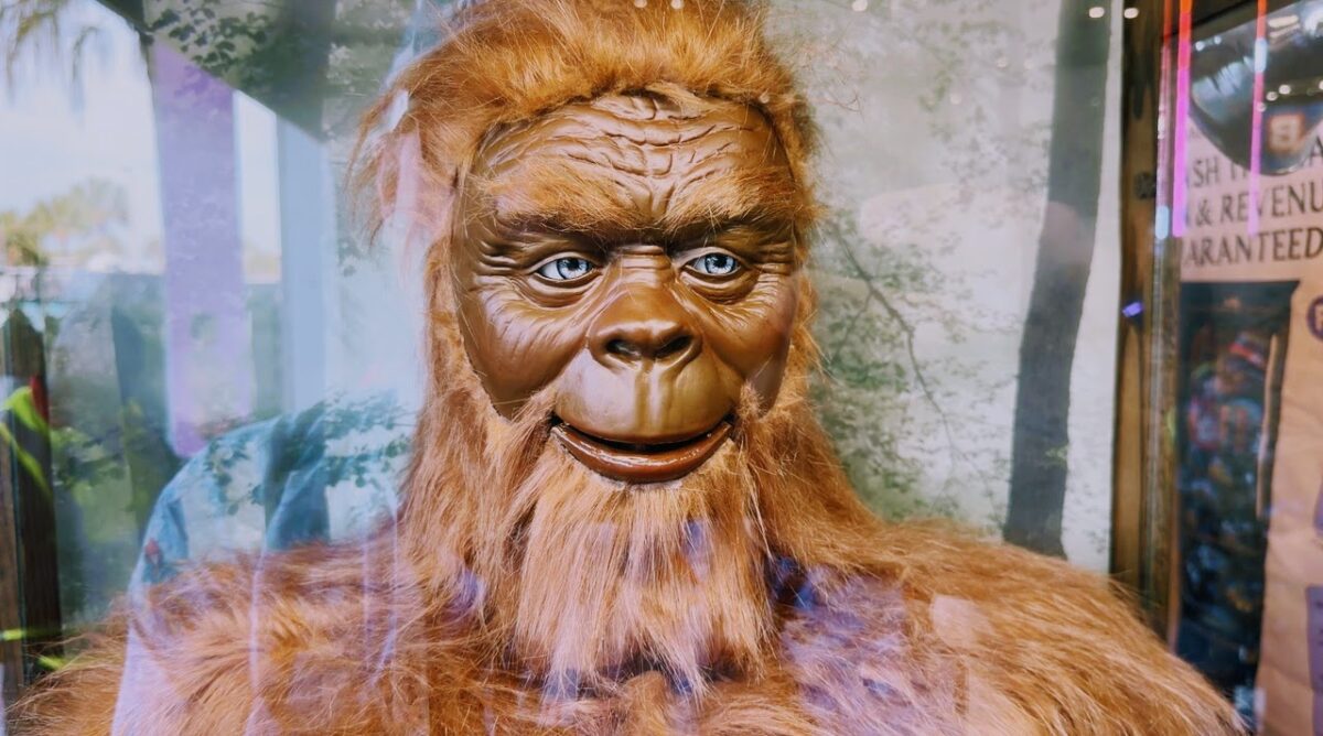 Zoltar: The origin of those fortune-teller robots