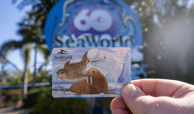 Free SeaWorld admission for preschoolers for all of 2026